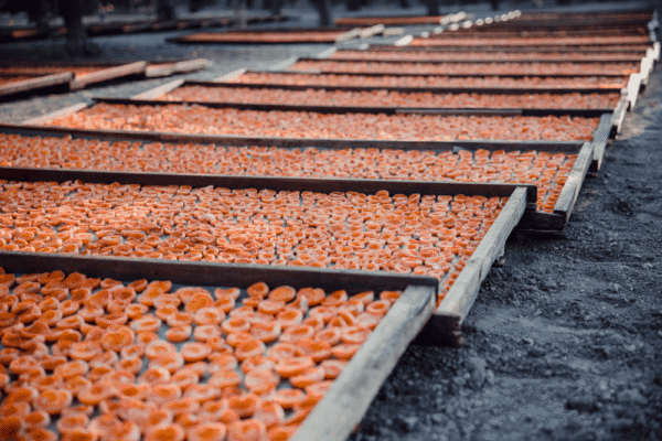 Secado industrial de alimentos: técnicas, equipos y beneficios